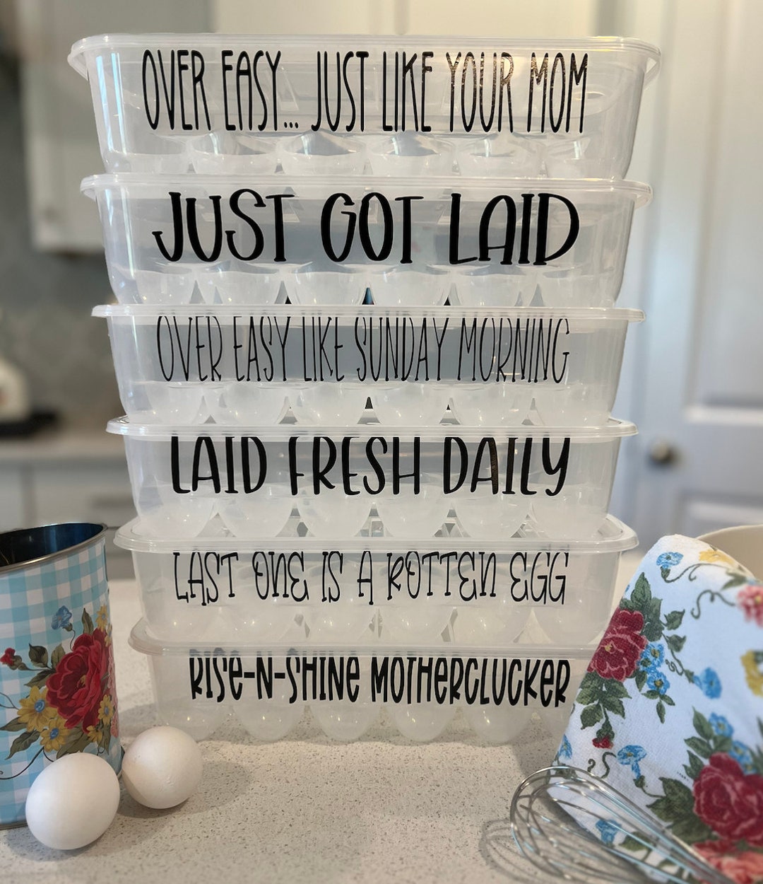 Funny Egg Container, Egg Carton, Plastic Egg Container Holds A Dozen ...