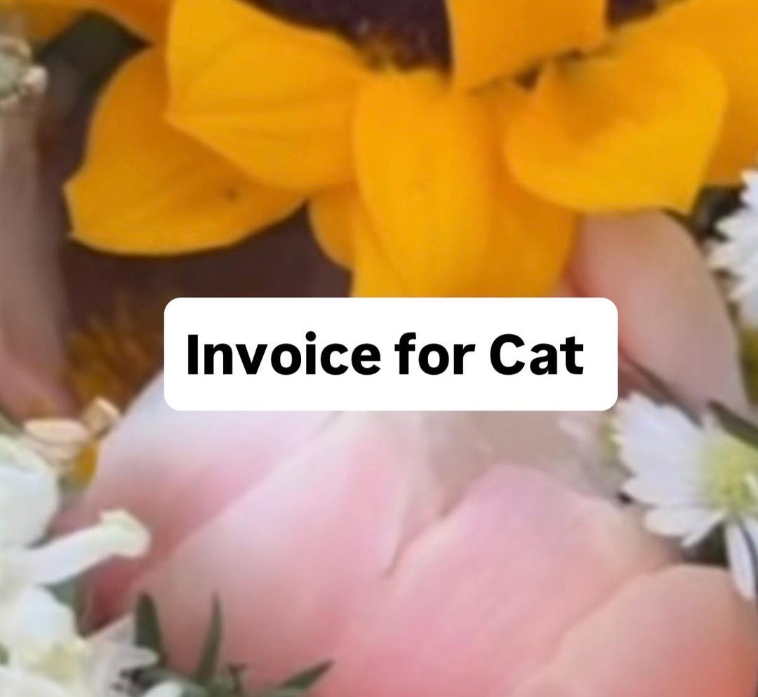 Final Invoice for Cat - Etsy