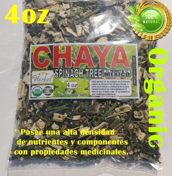 Chaya 4oz Mayan Miracle Tea Plant Mexican Tree Spinach Etsy