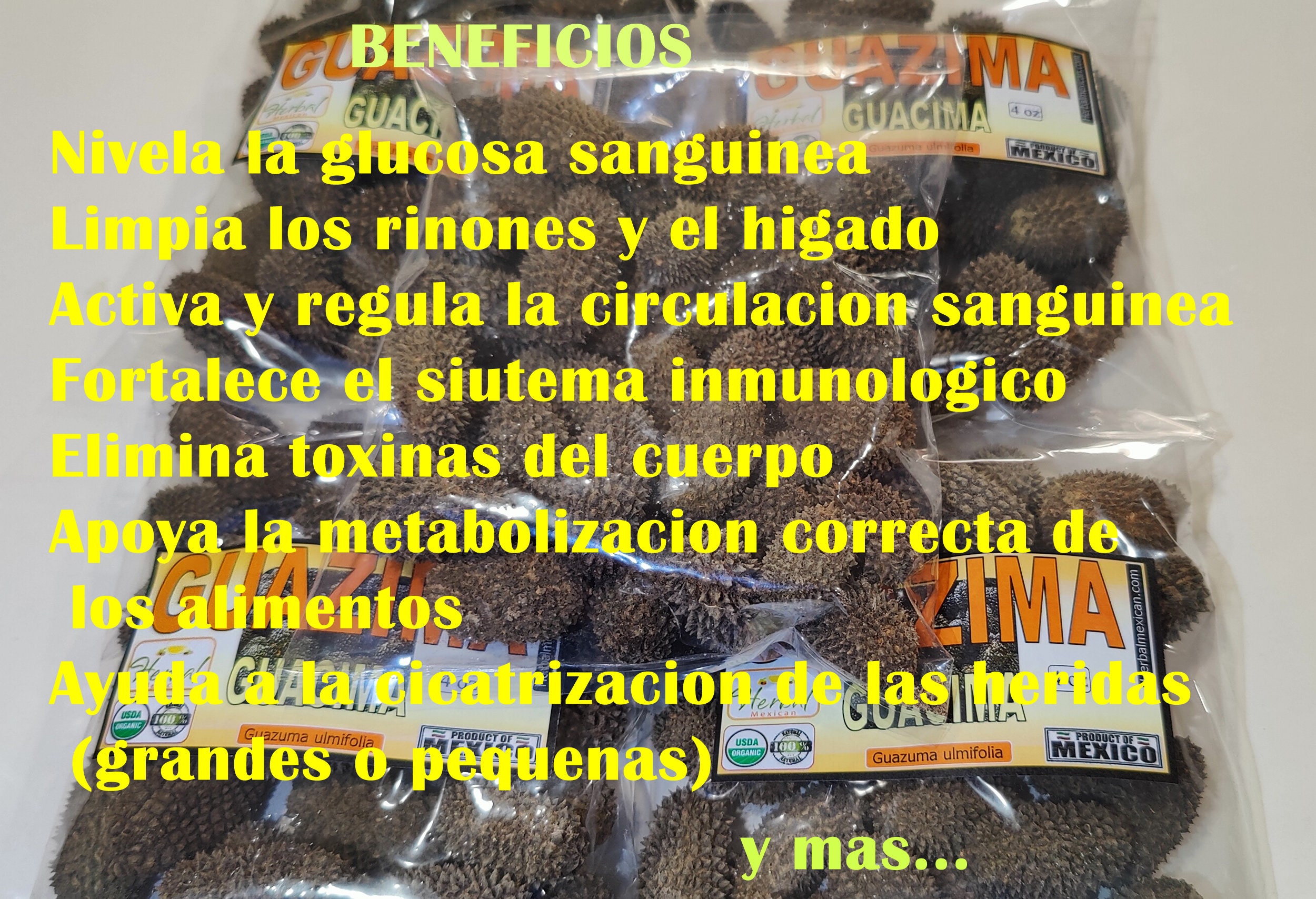 Guazima Guasima Guásimo Guácima Guásima Caulote Cuaulote Guazuma ...