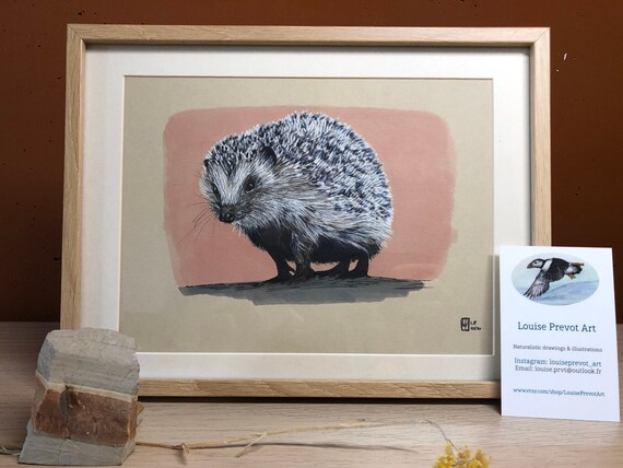 European Hedgehog ORIGINAL Drawing - Etsy