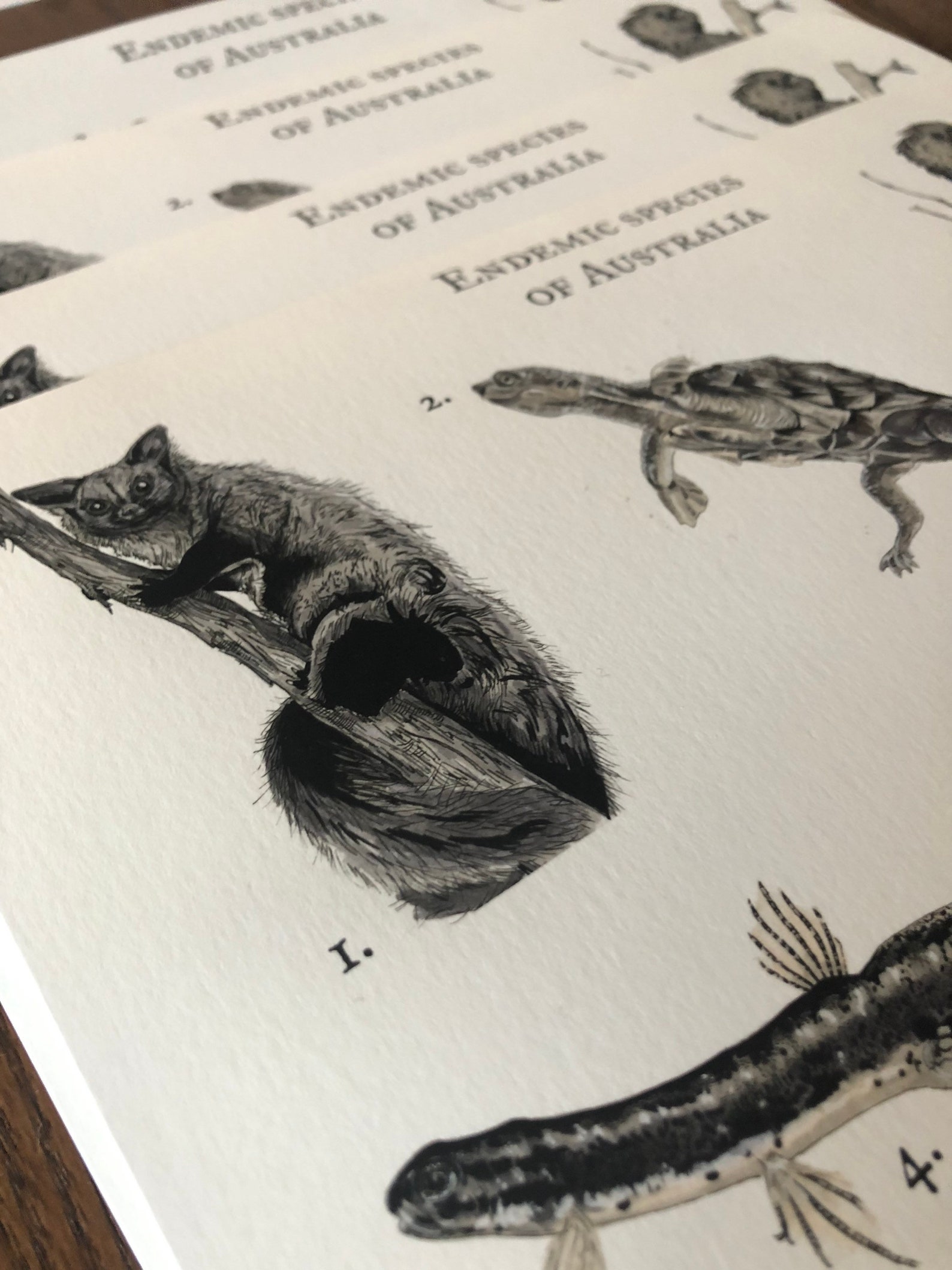 Poster Endemic Species FINE ART PRINT Fundraiser - Etsy