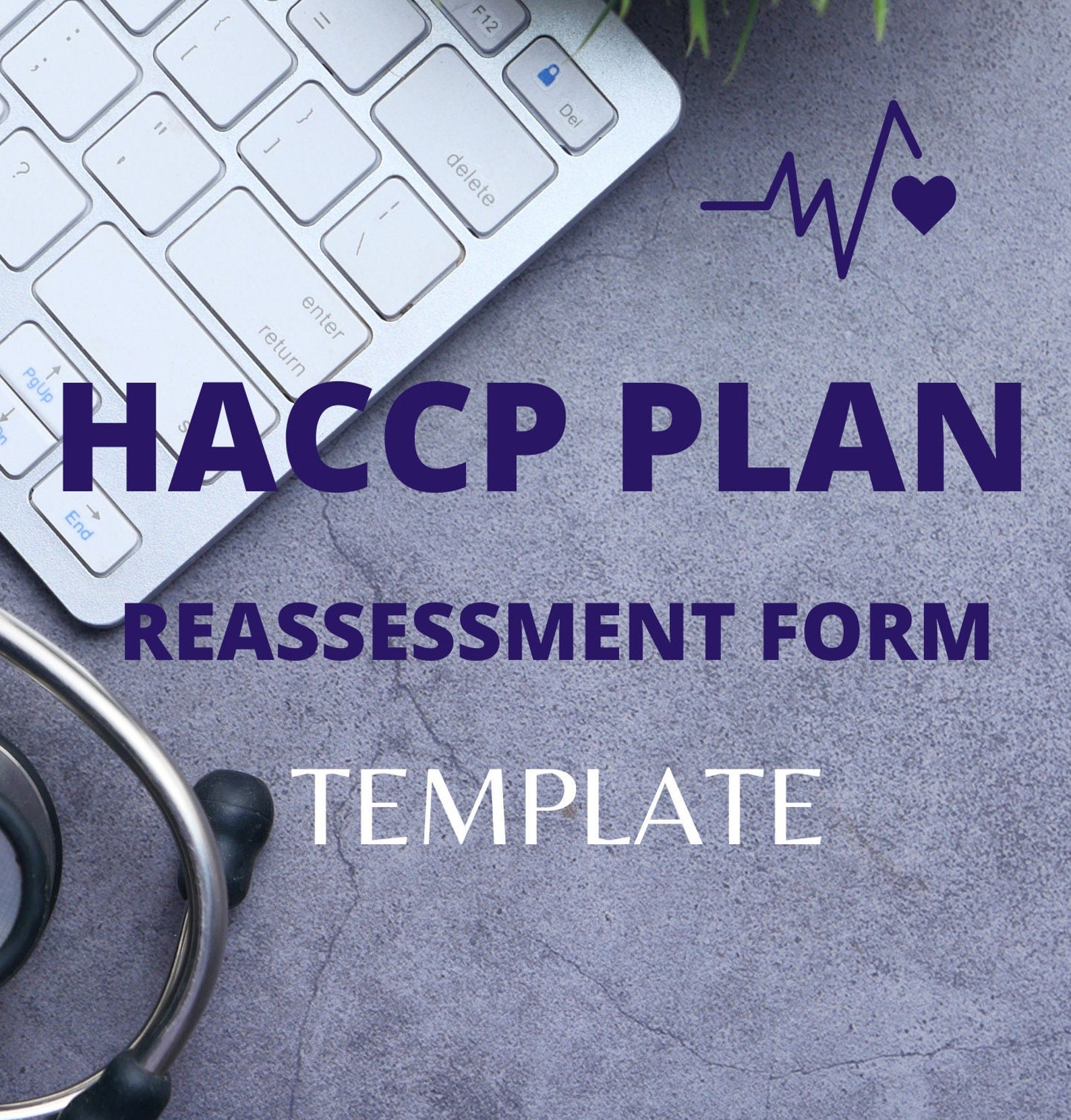 HACCP PLAN Reassessment Form TEMPLATE for Food Manufacturing - Etsy