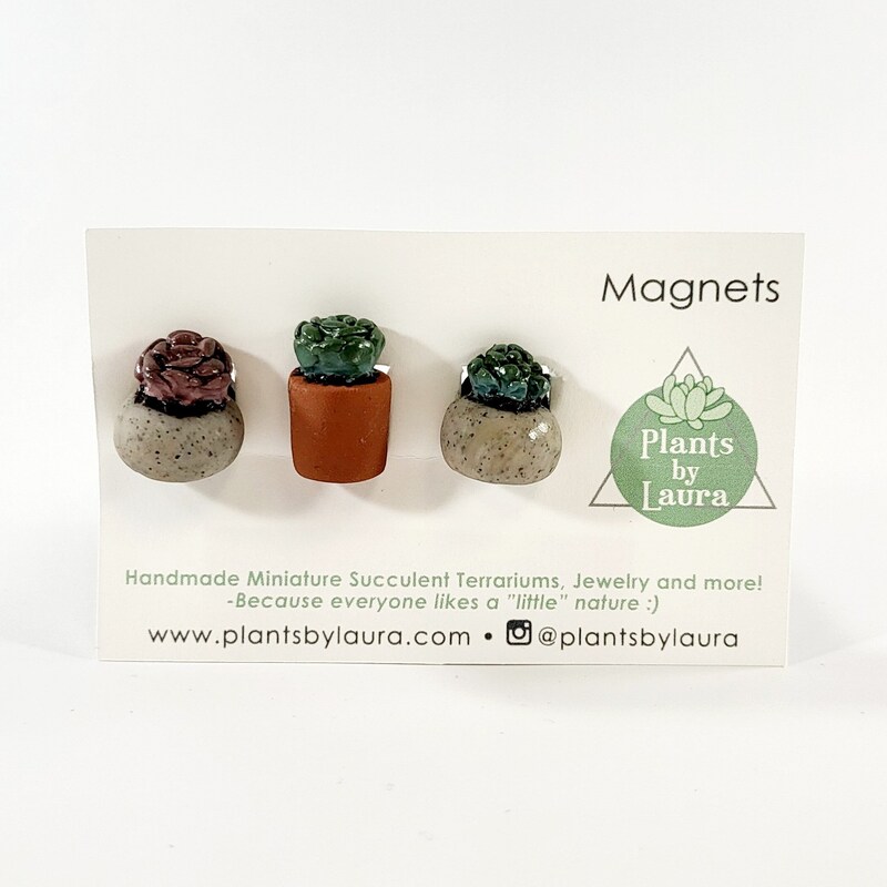 Succulent Magnet - Etsy