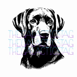 Labrador Retriever / PNG Vector SVG AI / File for Print, Cricut ...