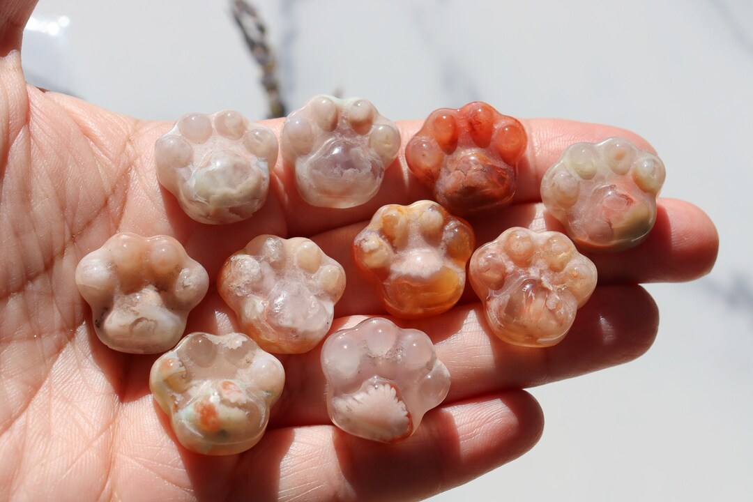 Flower Agate Cute Paw - Etsy