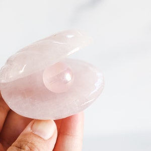Rose Quartz Clam Shells With Aura Rose Quartz Mini Sphere - Etsy