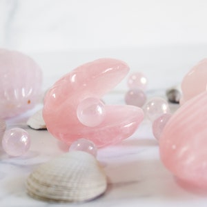Rose Quartz Clam Shells With Aura Rose Quartz Mini Sphere - Etsy