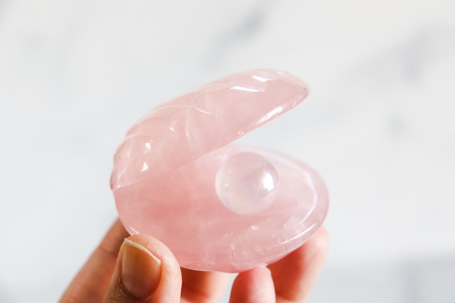 Rose Quartz Clam Shells With Aura Rose Quartz Mini Sphere - Etsy