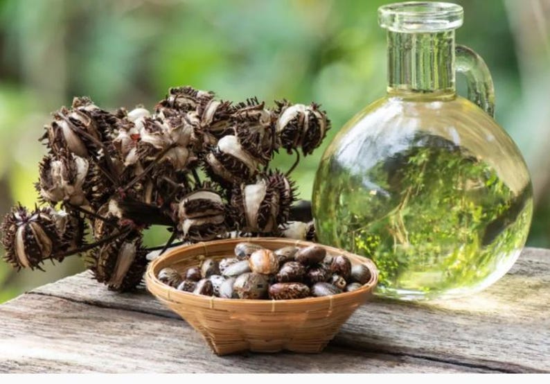Jamaican Black Castor Oil - 100% Pure and Organic, Cold Pressed, Hair ...