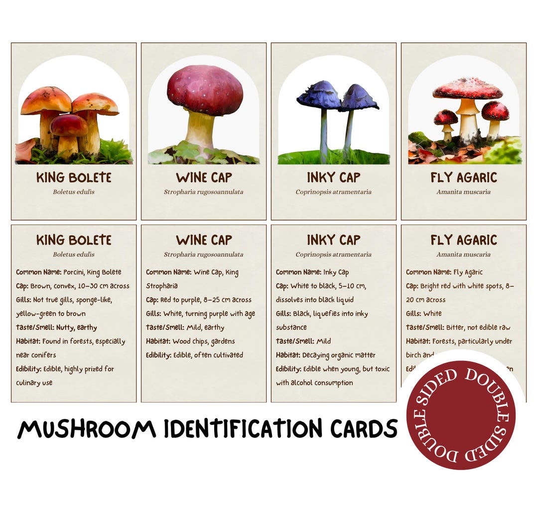 Set of 24 Mushroom Identification Cards, Montessori Materials Printable ...