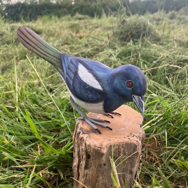 Magpie - Etsy Australia