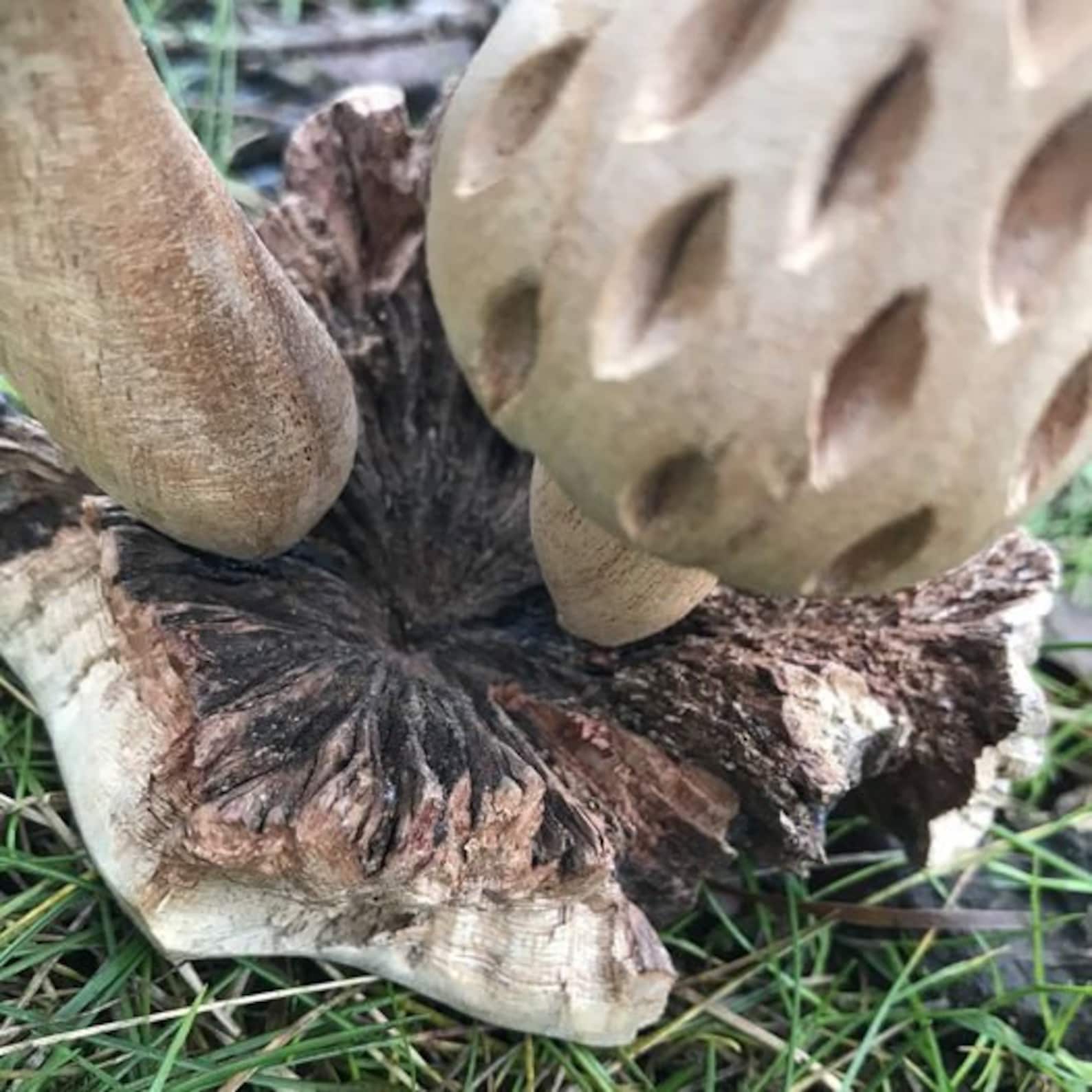 Hand Carved Wooden Mushrooms - Etsy