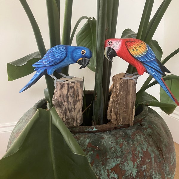 Wooden Parrot Statues - Etsy