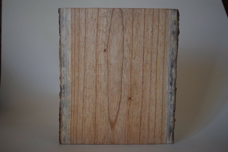 Half Log Hand Carved Owl Wood Tree Stump Bird - Etsy