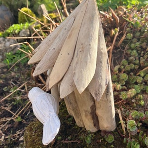 Handmade Wooden Birdhouse Bird Box Tree Bark Natural Garden Drifwood ...