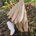 Handmade Wooden Birdhouse Bird Box Tree Bark Natural Garden Drifwood ...