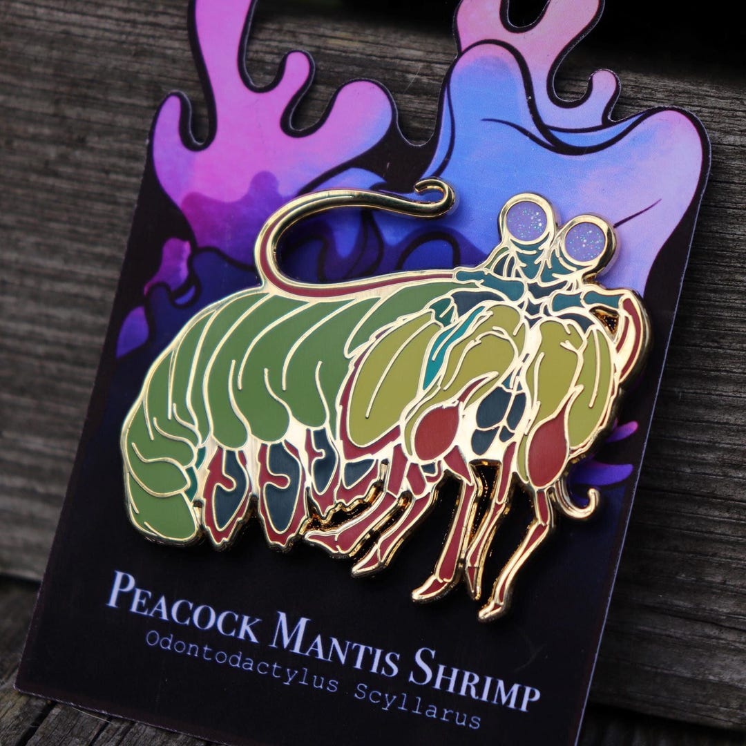 Peacock Mantis Shrimp Gold Plated Enamel Pin Nautical Gift Colourful ...