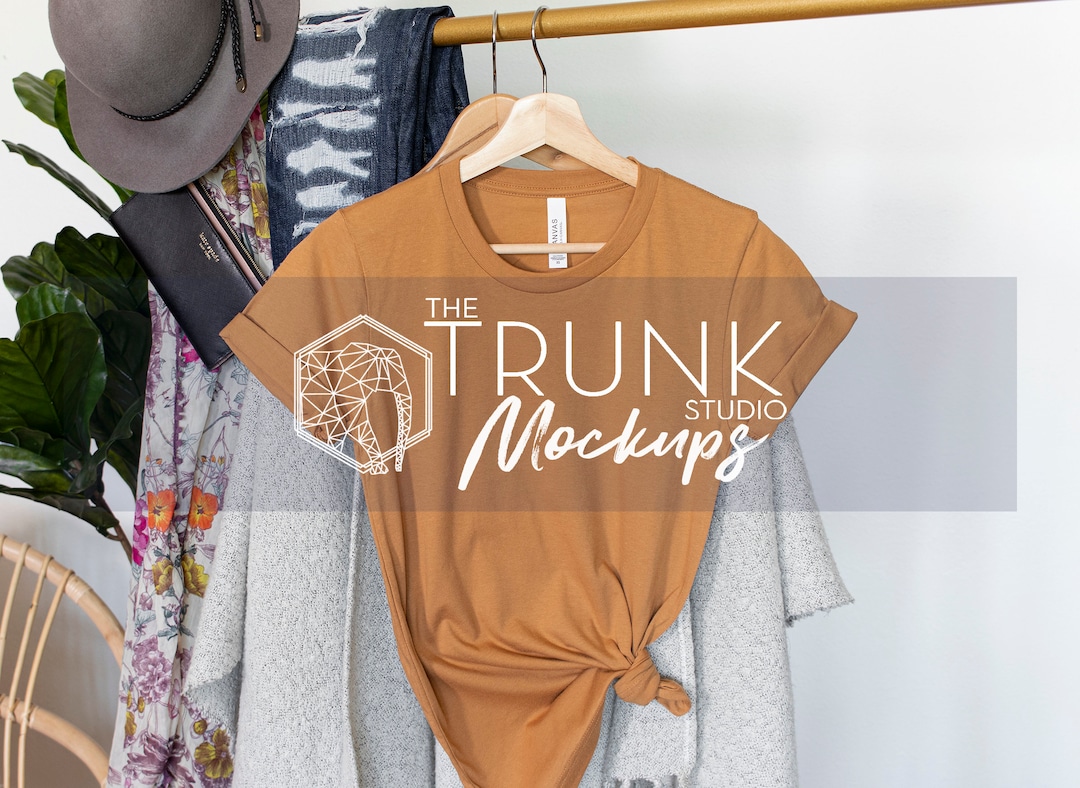 3001 TOAST Mockup, Hanger Tshirt Mockup, Bella Canvas Hanging Mockup ...