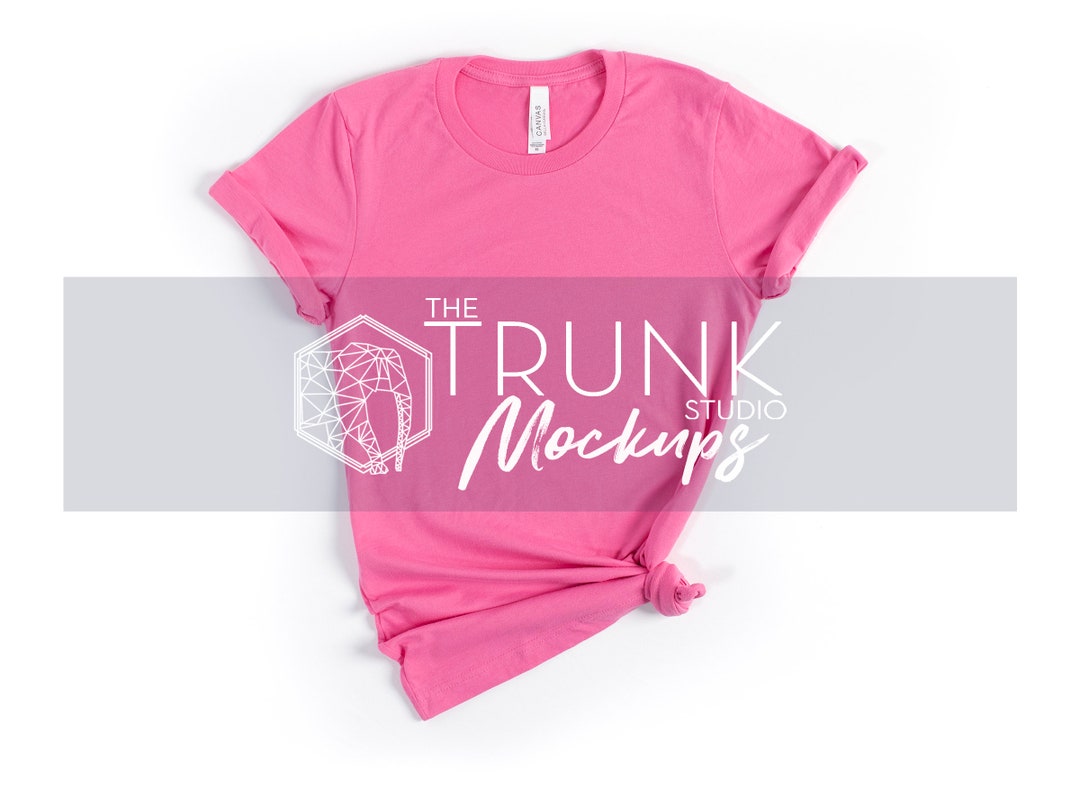 3001 CHARITY PINK Mockup, 3001 Mockup Charity Pink, 3001 Shirt Only ...