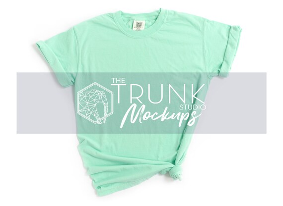 Island Reef Comfort Colors