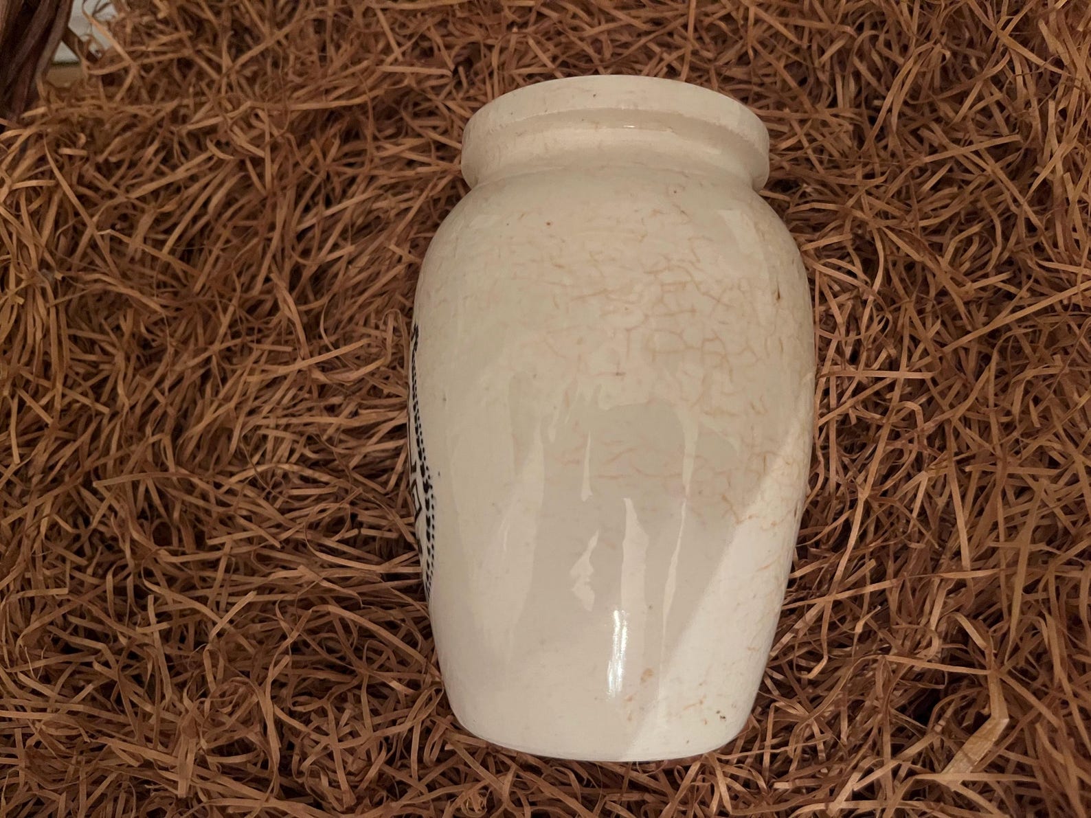 Numol Body Builder Lecithin Food Pot - Etsy