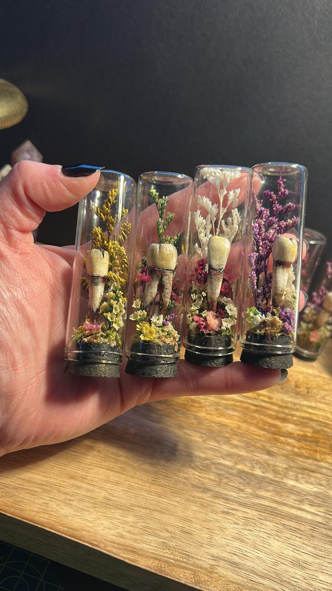 Oddities, Macabre, Teeth in a Jar, Witches, Spooky, Creepy, Gifts ...