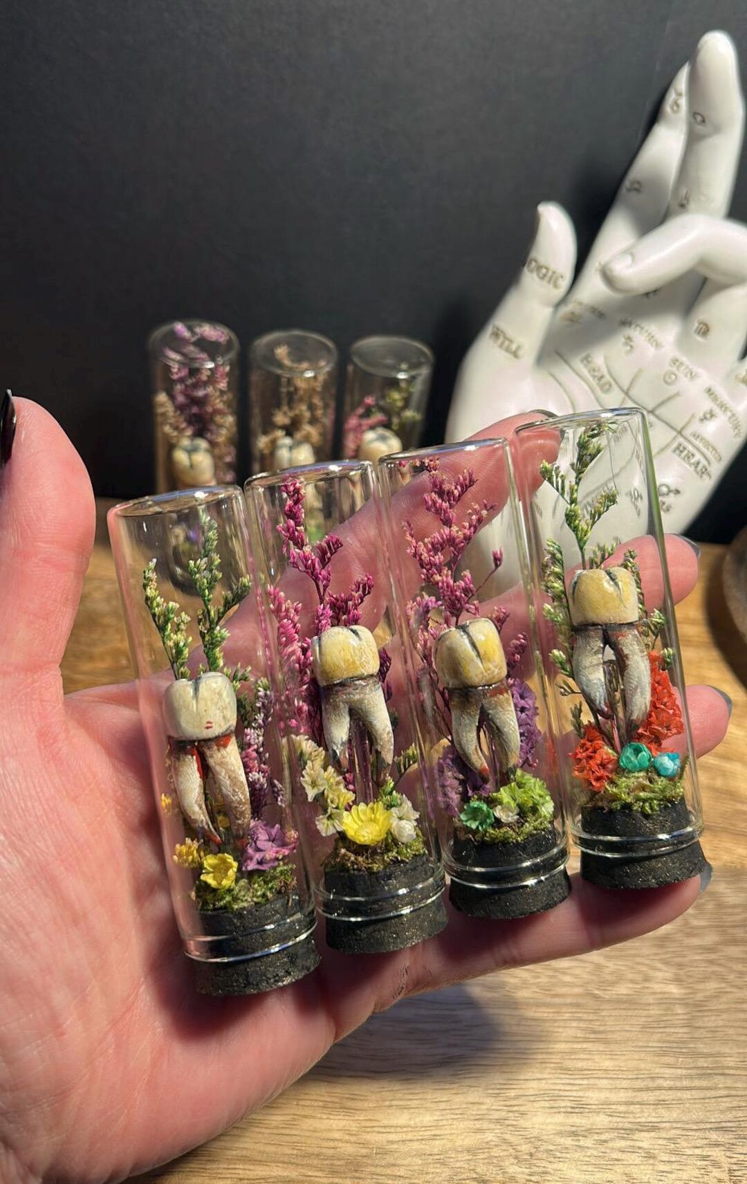 Creepy Teeth in a Jar: Polymer Clay Oddity - Gothic Terrarium - Etsy