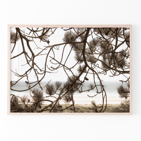 Nature Poster - Etsy