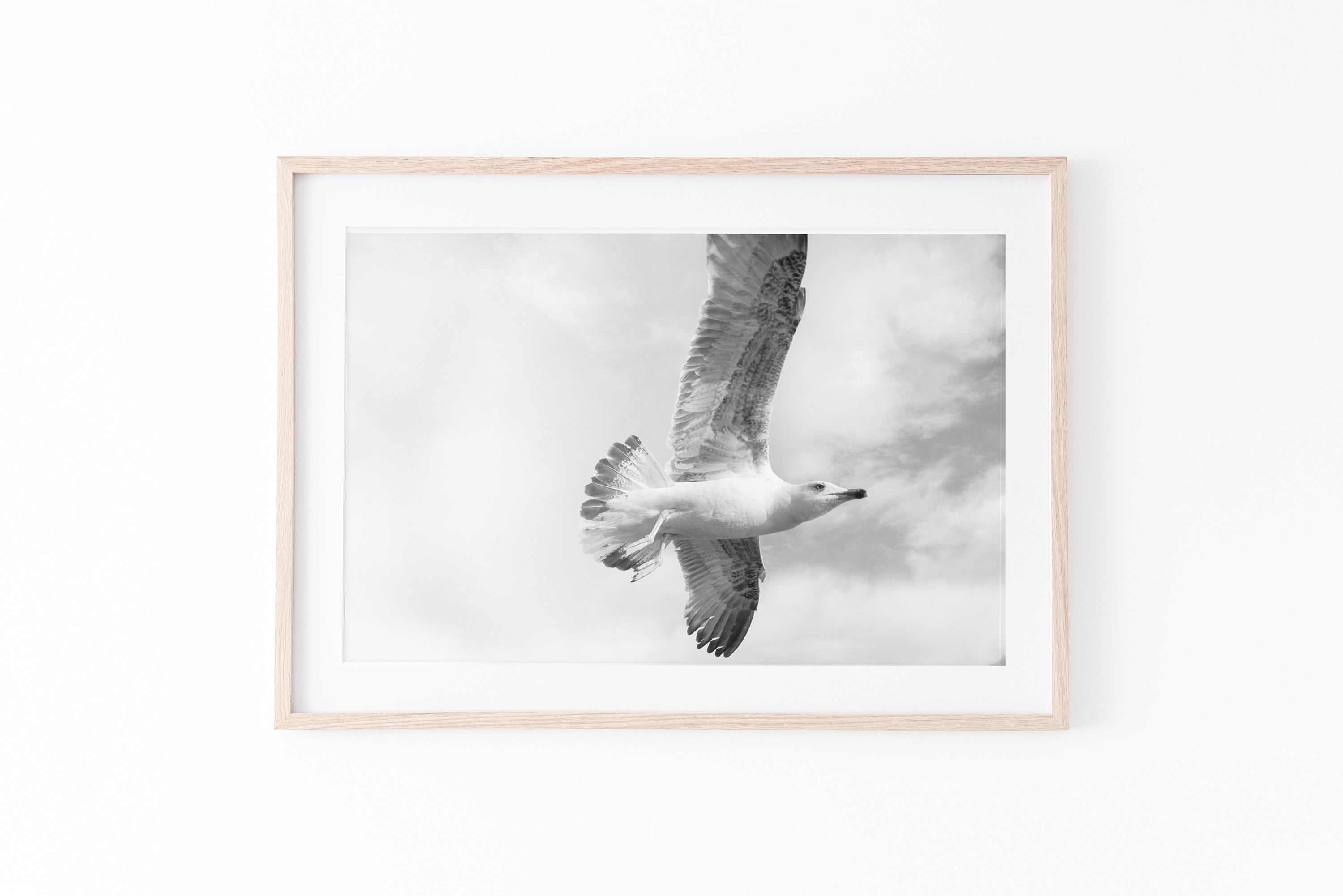 Flying Bird Print Black and White Photography Printable Wall - Etsy