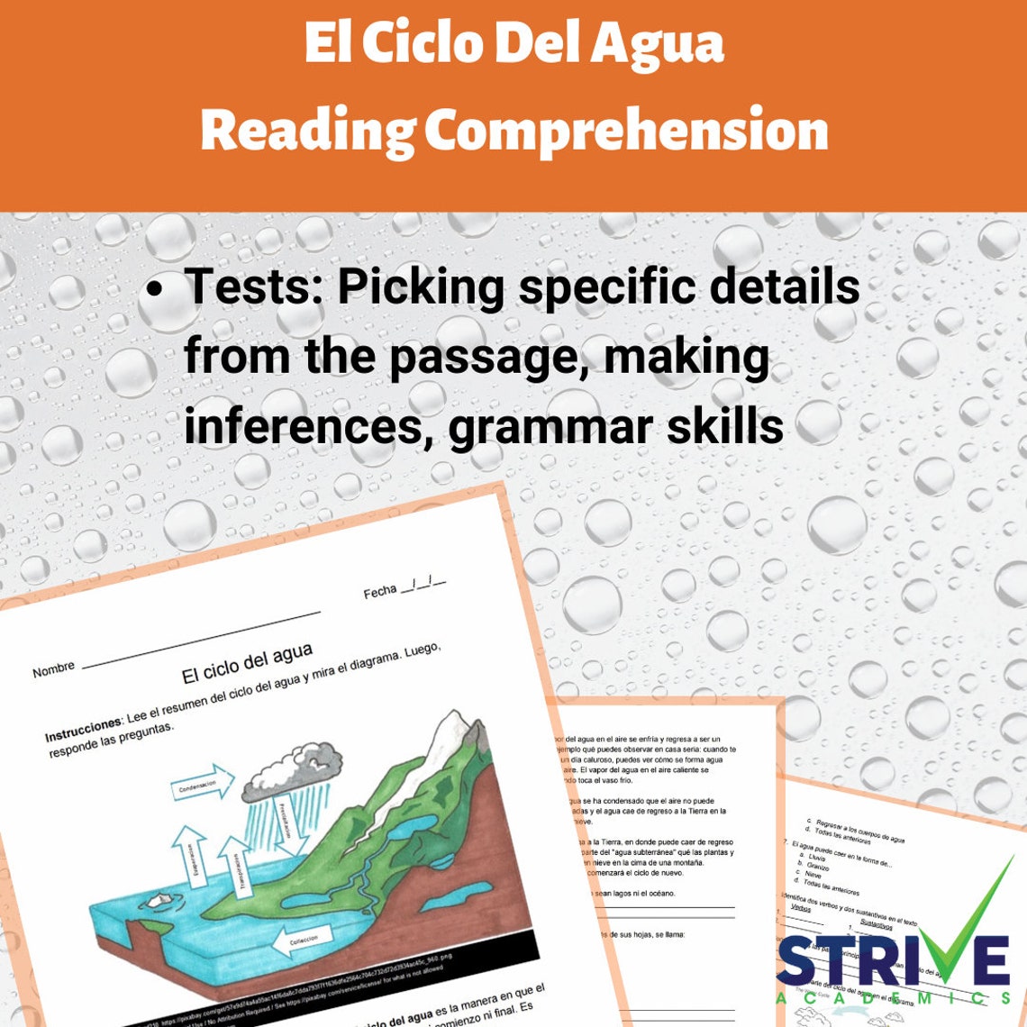 Spanish Beginner's Reading Comprehension Pack 1 (spanish 1) - Etsy