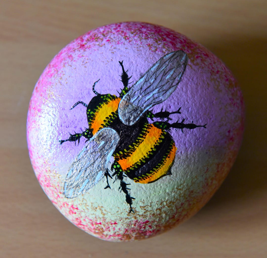 Hand Painted Pebble / Cobble / Stone Sunrise Coloured BUMBLE BEE ...