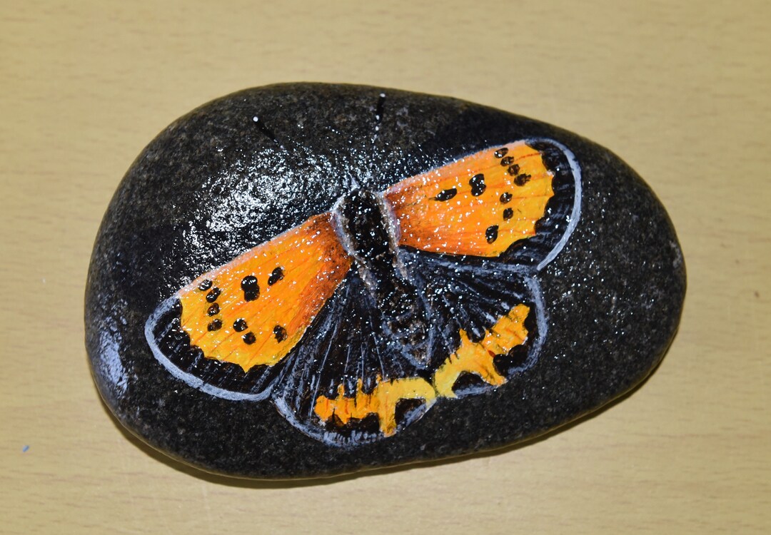 Hand Painted Pebble / Cobble / Stone Small Copper BUTTERFLY Paperweight ...
