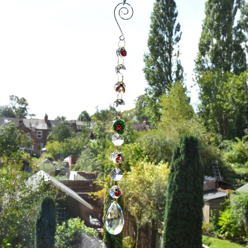 Ladybird Decorations - Etsy UK