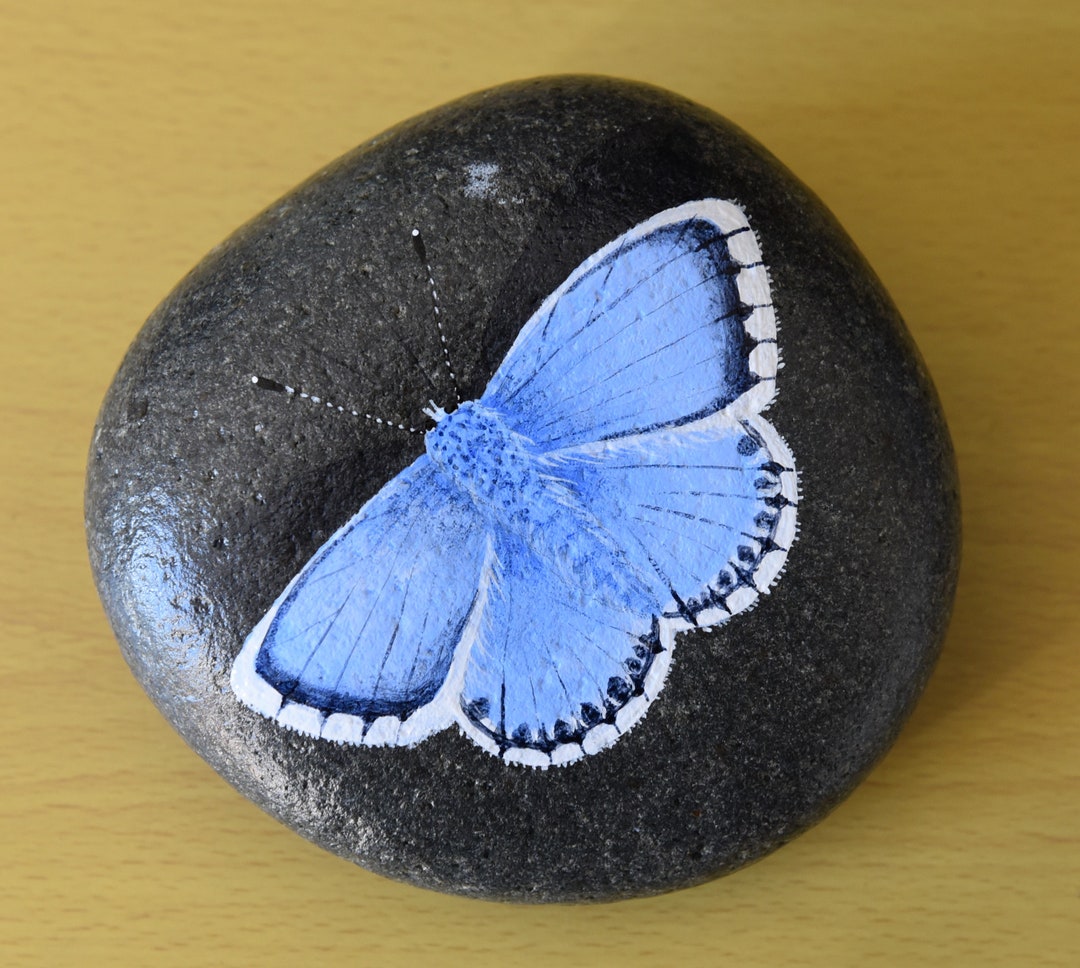 Hand Painted Pebble / Cobble / Stone of a Chalkhill Blue - Etsy