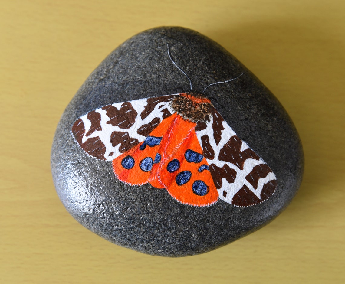 Hand Painted Pebble / Cobble / Stone of a Tiger MOTH - Etsy