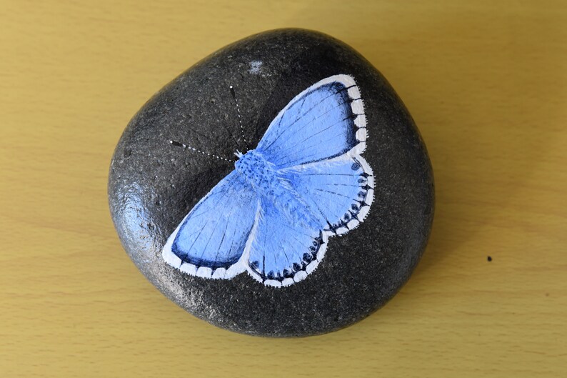 Hand Painted Pebble / Cobble / Stone of a Chalkhill Blue - Etsy