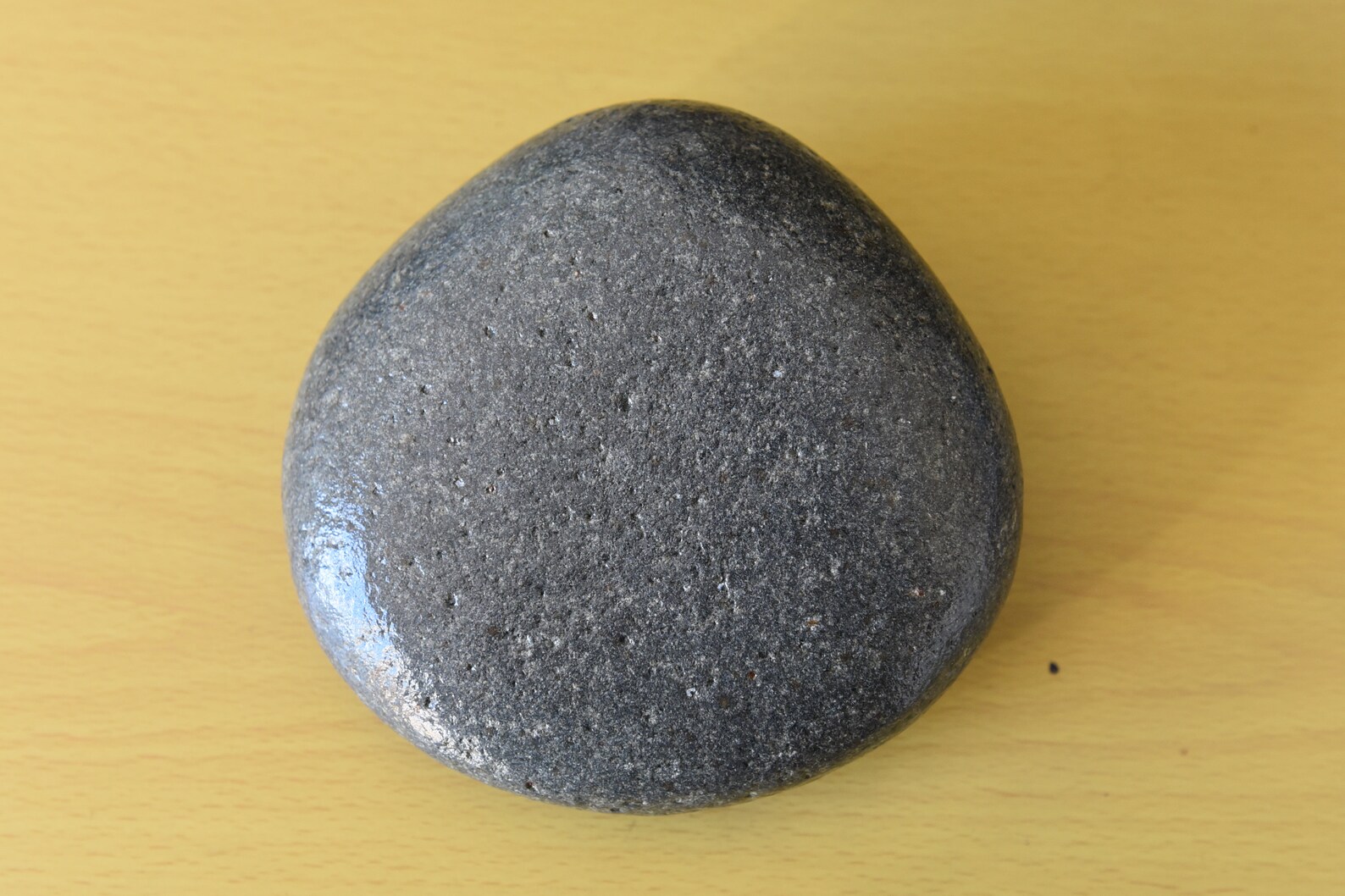 Hand Painted Pebble / Cobble / Stone of a Chalkhill Blue - Etsy