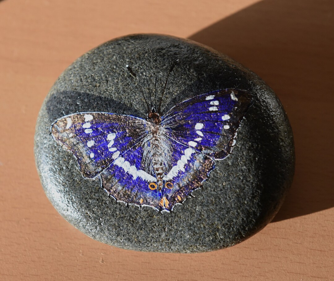Hand Painted Pebble / Cobble / Stone of a Purple Emperor BUTTERFLY ...