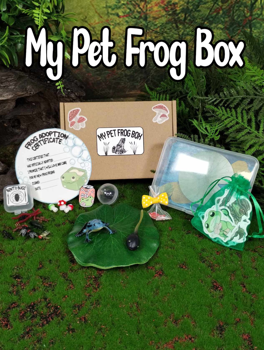 My Pet Frog Box - Adopt Pocket Pet Frog - Mystery Box W/ Adoption ...