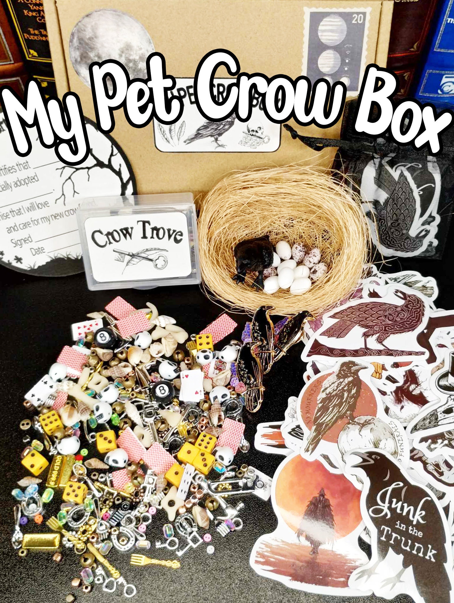 My Pet Crow Box With Mini Crow Confetti Adopt Pocket Crow Mystery Box W ...