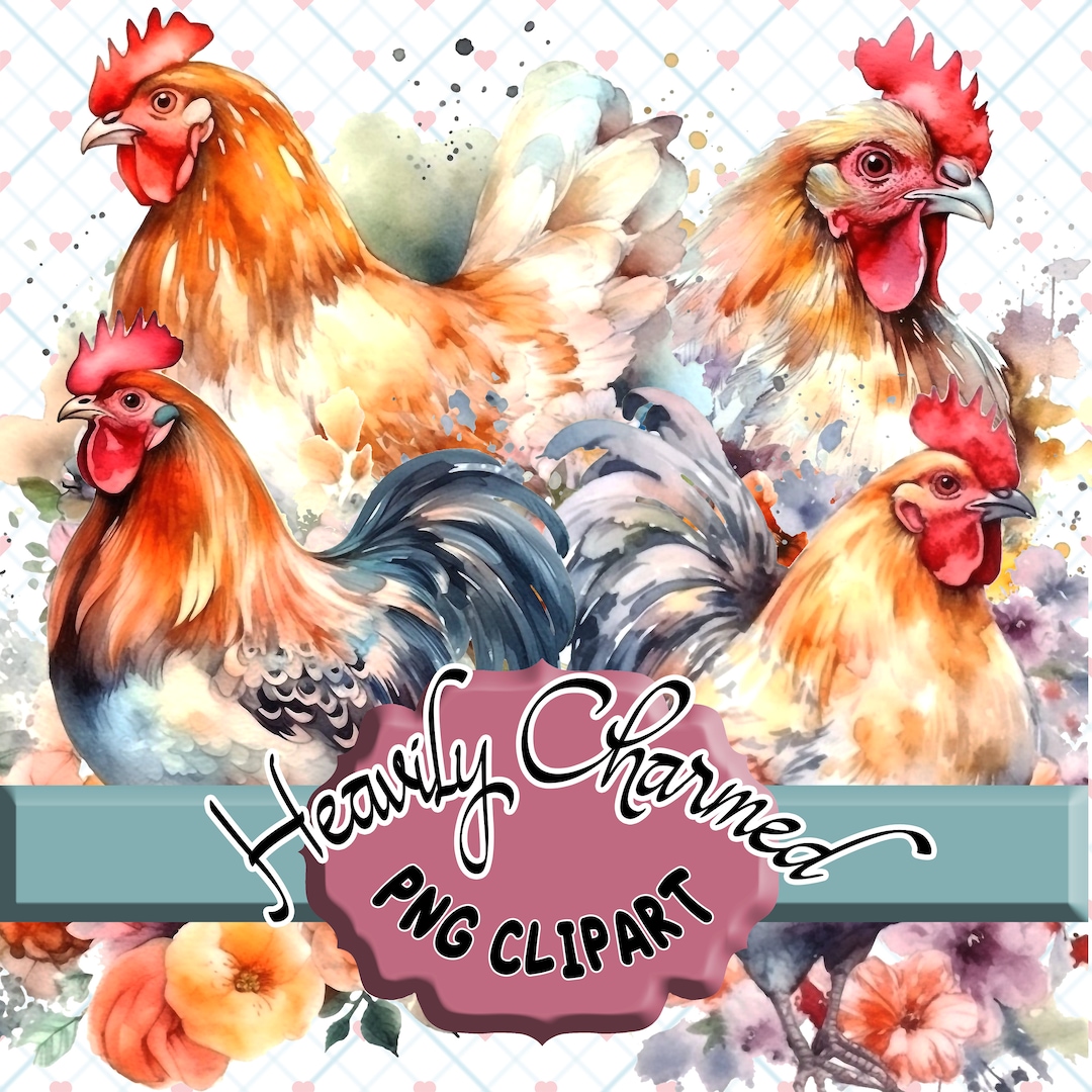 Watercolor Chicken Clipart PNG Transparent Bundle Format Instant ...