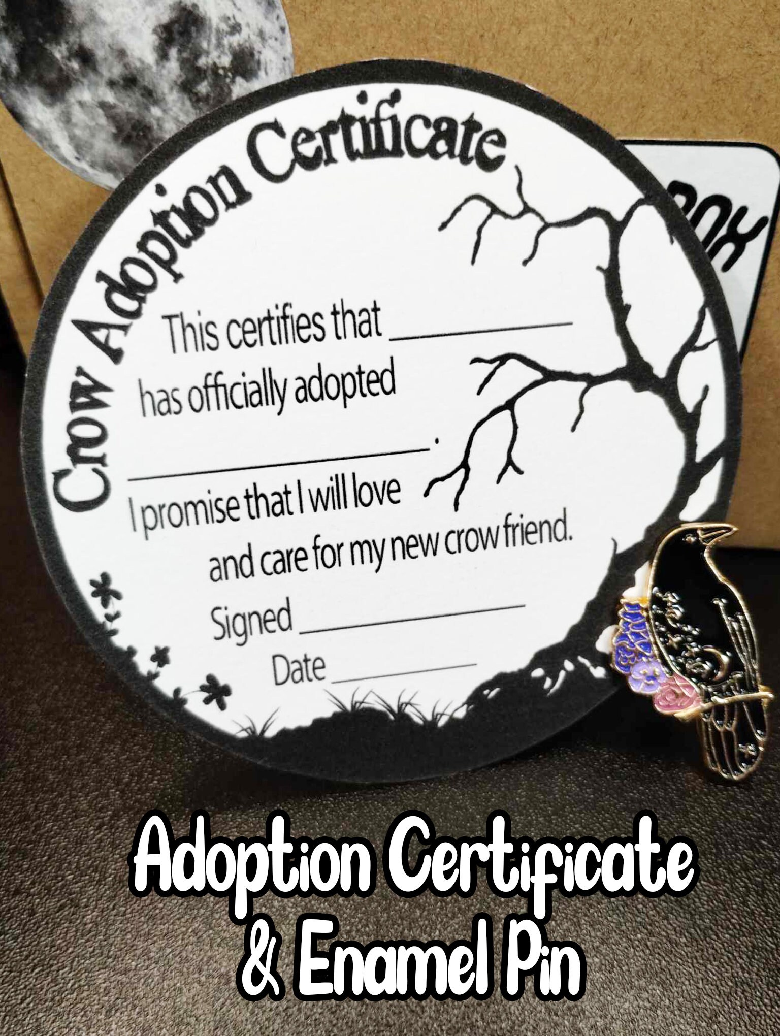 My Pet Crow Box With Mini Crow Confetti Adopt Pocket Crow Mystery Box W ...