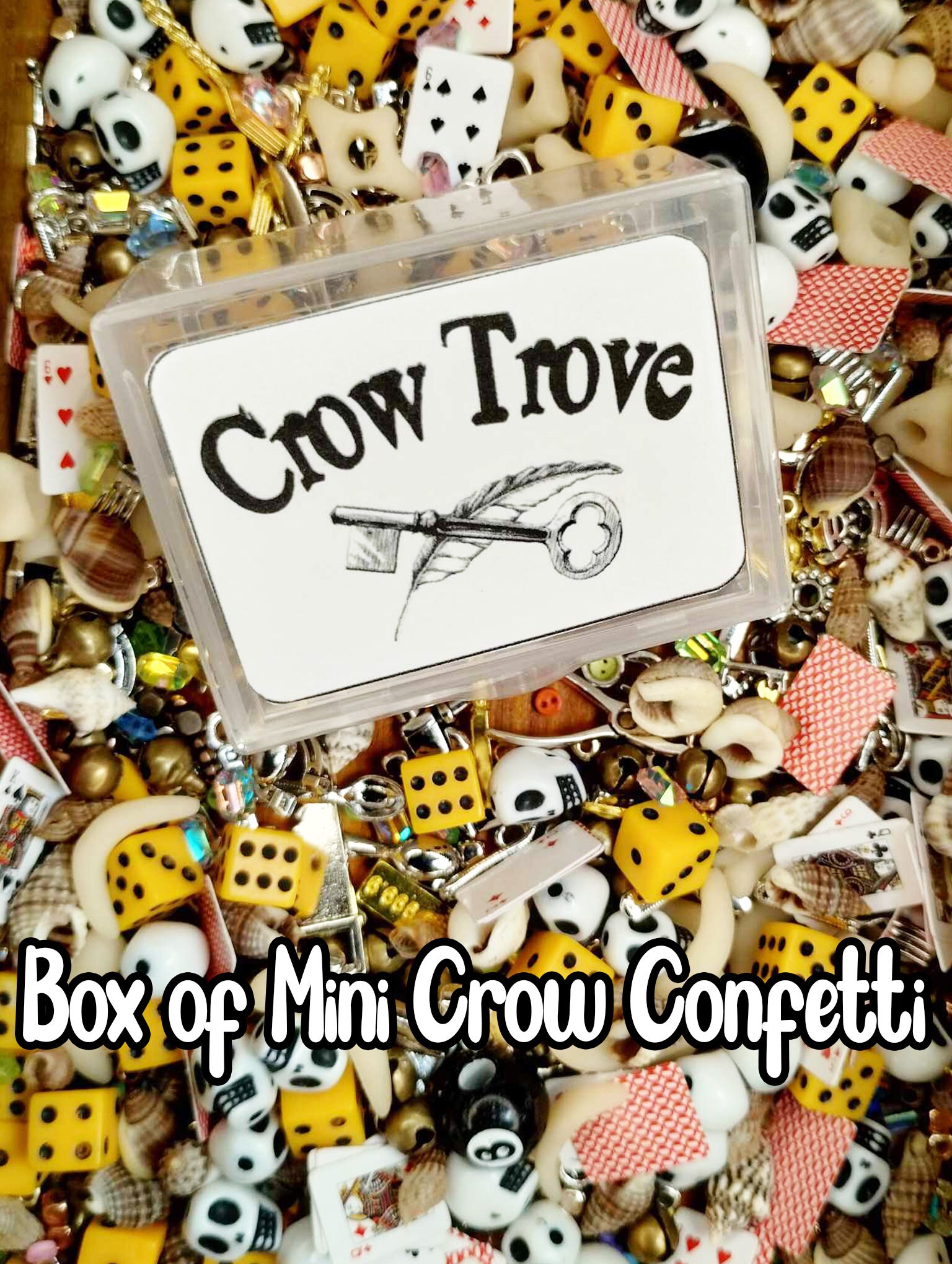 My Pet Crow Box With Mini Crow Confetti Adopt Pocket Crow Mystery Box W/ Adoption Certificate ...