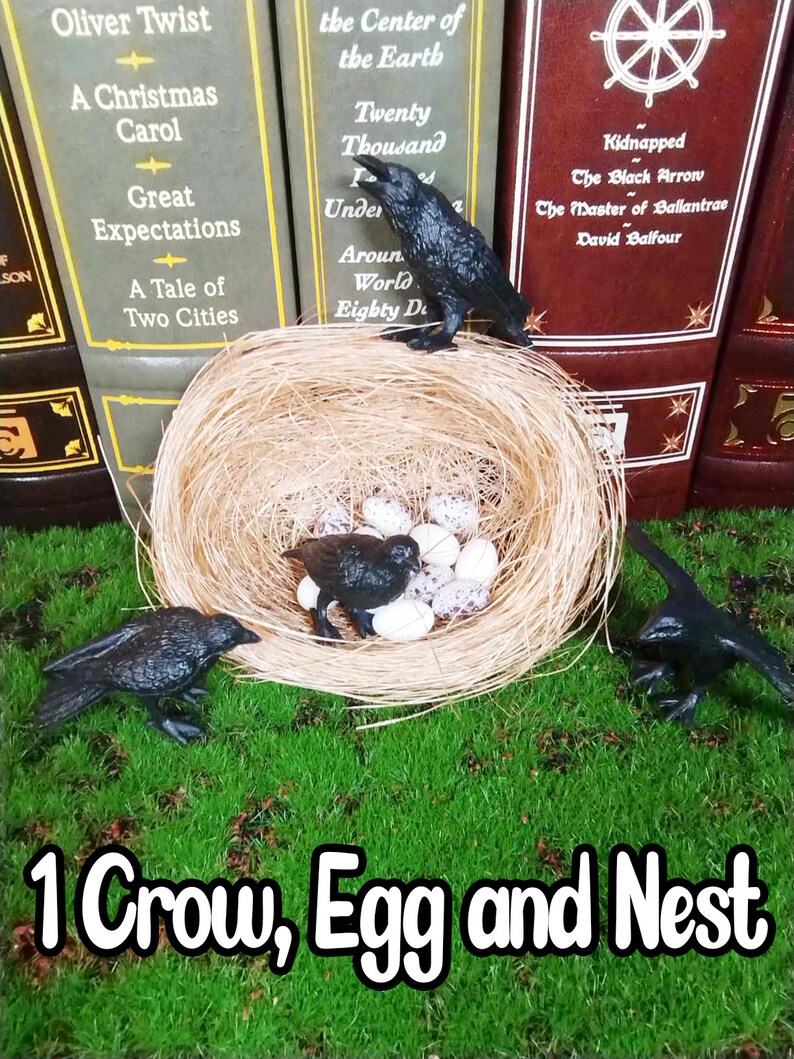 My Pet Crow Box With Mini Crow Confetti Adopt Pocket Crow Mystery Box W ...