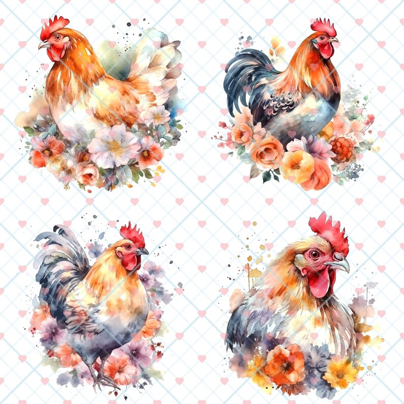 Watercolor Chicken Clipart PNG Transparent Bundle Format Instant ...