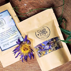Lucid Dreaming Herbal Tea | Blue Lotus, Mugwort, Damiana Blend - Etsy