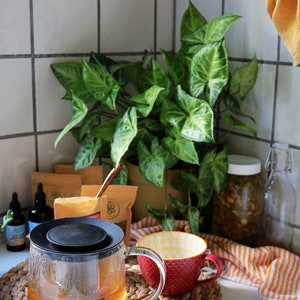 Moon Cycle Tea: Goddess Wellness Herbal Blend With Red Raspberry & Rose ...