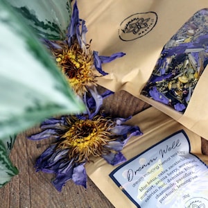 Lucid Dreaming Herbal Tea | Blue Lotus, Mugwort, Damiana Blend - Etsy