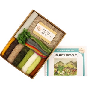 Stormy Landscape Needle Felt Kit - Etsy